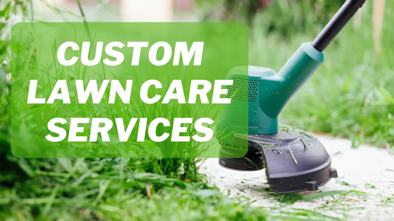 Custom Lawn Care In Cleveland, Tx - DNG Amigos Home Care